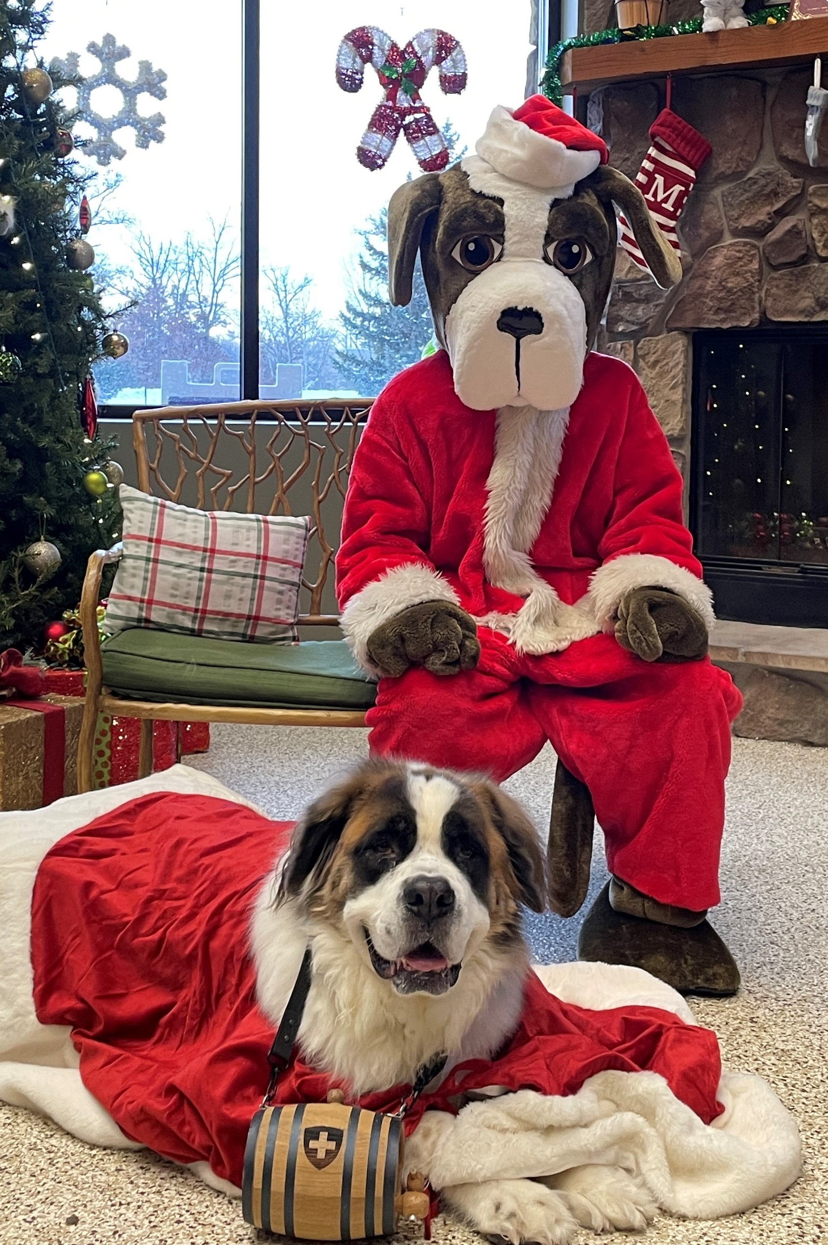 Chester Santa Photos - Blaine